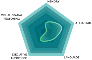 Secret Files - HappyNeuron Pro